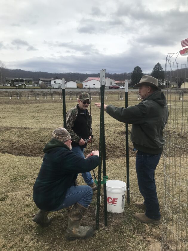 Pruning Workshop Practices on Grimes Golden Apple Trees | News, Sports ...
